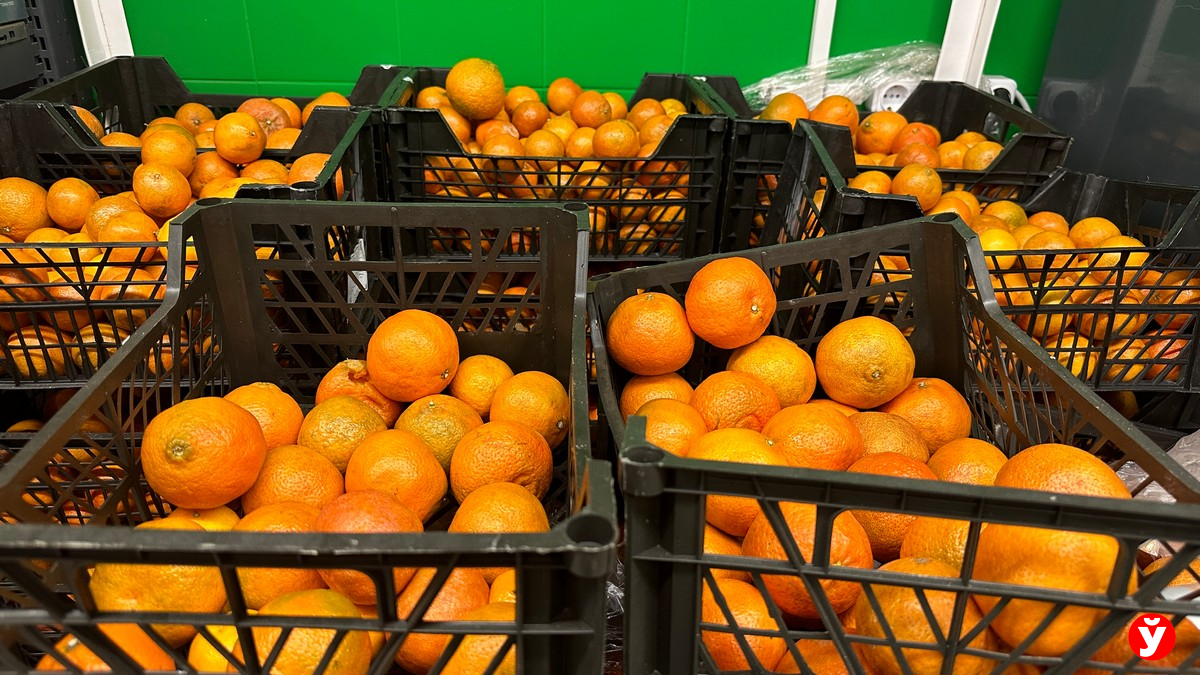 Новогодний стол без переплат: собираем экономную корзину в «Грошык МЕГА ...